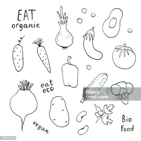 야채 완벽 한 패턴입니다 채식 건강 바이오 식품 배경 비건 유기농 에코 제품 후추 토마토 오이 당근 감자 아보카도 콩 및 완두콩 벡터 그림 0명에 대한 스톡 벡터 아트 및