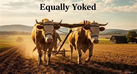 Equally Yoked Bible Meaning Truth Purpose And Relationships