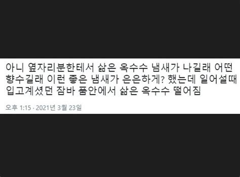 소확유 당근 후자 아님 강아지 하체 인정 바지 다리 논쟁 짤 ㅋㅋㅋㅋ Instagram