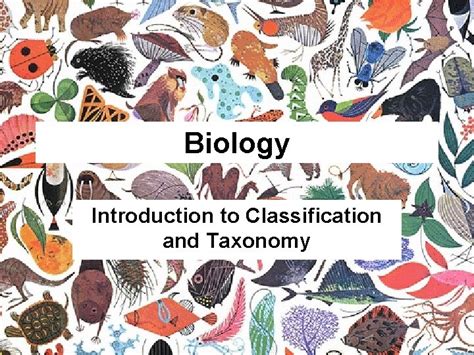 Biology Introduction To Classification And Taxonomy Classification
