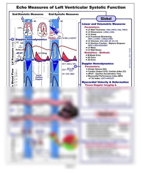 Solution Echo Measures Of Left Ventricular Systolic Function Studypool Solution Echo Measures Of Left Ventricular Systolic Function Studypool