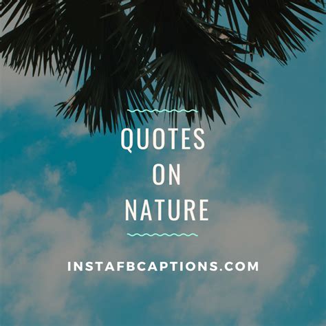 98 Greenery Quotes Captions For Instagram In 2024