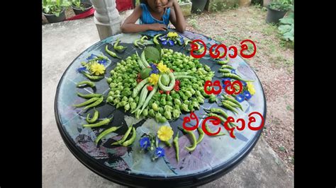 මගේ මිරිස් වගාව සහ ඵලදාව Youtube