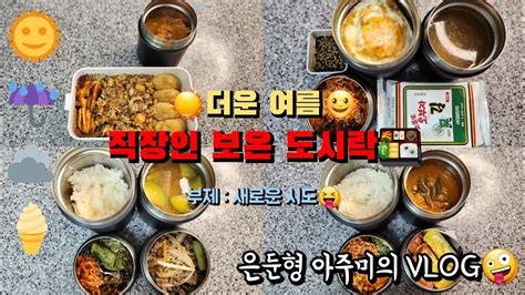 도시락vlog 직장인 도시락🍱 보온 도시락🍱 새로운 메뉴 등장🌟 계란말이 쑈 보고싶은 사람🙋‍♀️ Youtube