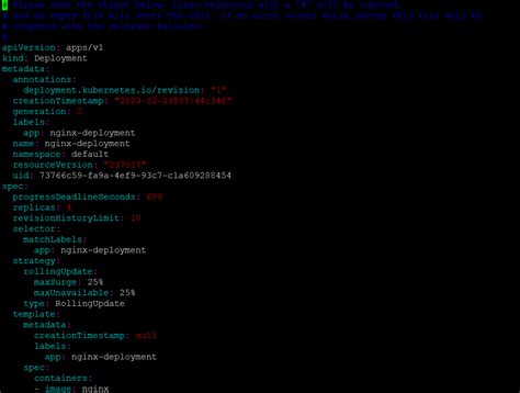 Become A Kubernetes Pro With This Kubectl Guide Computingforgeeks