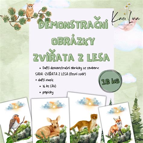 DemonstraČnÍ ObrÁzky ZvÍŘata Z Lesa Lesní Zvěř Přírodověda