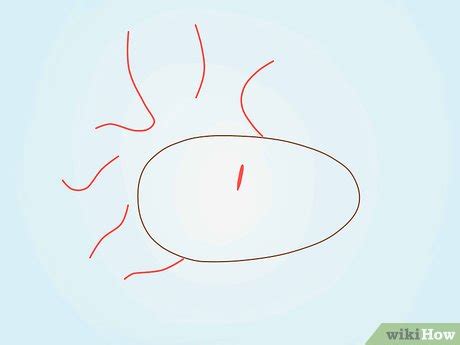 How To Draw Woodstock From Peanuts Steps With Pictures