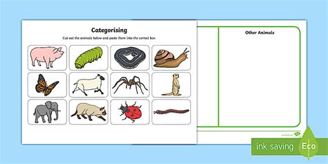 Minibeast And Other Animals Sorting Activity Twinkl