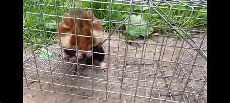 Форум акции Сбербанк Sber Sberp