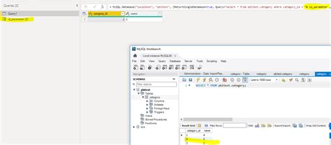 How Use Parameter In Mysql Connector Query Microsoft Fabric Community