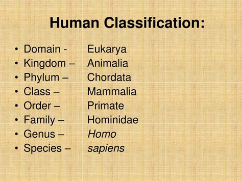 Ppt Let S Classify Powerpoint Presentation Free Download Id