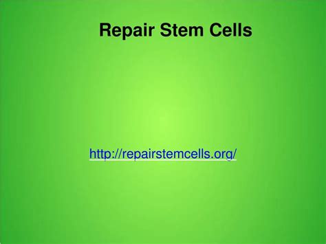 Ppt Stem Cell Treatments Powerpoint Presentation Free Download Id