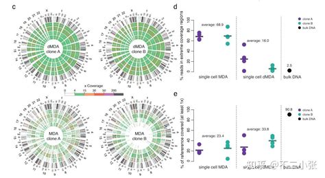 单细胞长读长全基因组测序技术 知乎