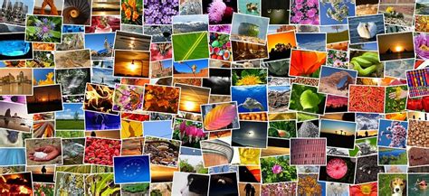 Pictures Photos Photo Collection - Free photo on Pixabay - Pixabay