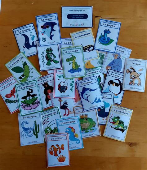 Classification Des Animaux Des Outils 100 Gratuits Pour Retrouver Le