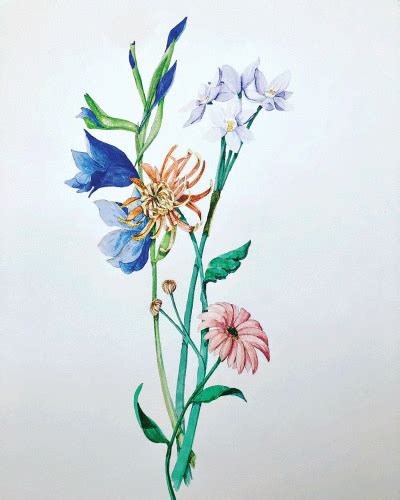 Gail Borowski Named Sterling Heights Artist Of The Month