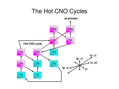 Ppt Pj Woods University Of Edinburgh Powerpoint Presentation Free Download Id 5387034