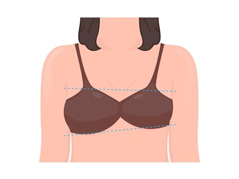 Premium Vector Asymmetric Woman Breast Vector Illustration