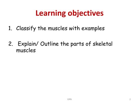 L2the Muscular System Rpdfclassify The Muscles With Examples