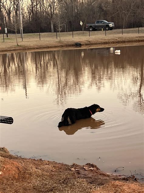Sad Her Friends Left The Park Scrolller