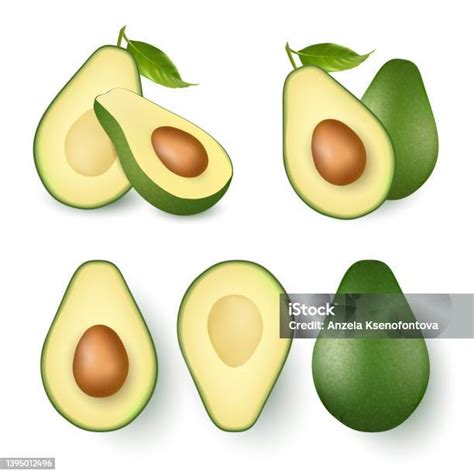 흰색 배경에 고립 된 신선한 전체와 반 아보카도 세트 유기농 에코 푸드 현실적인 벡터 일러스트 레이 션 건강관리와 의술에 대한 스톡 벡터 아트 및 기타 이미지 Istock