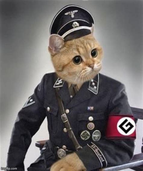 Imgflip