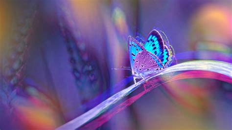 Northstar Crm Consulting On Linkedin Salesforce Spring ‘25 Release What To Expect And How To