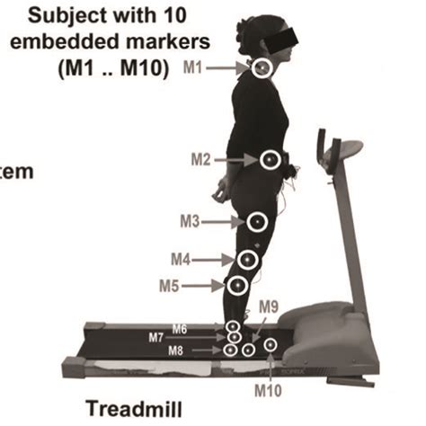 Experimental Setup The Motion Capturing System Consisted Of Two Download Scientific Diagram