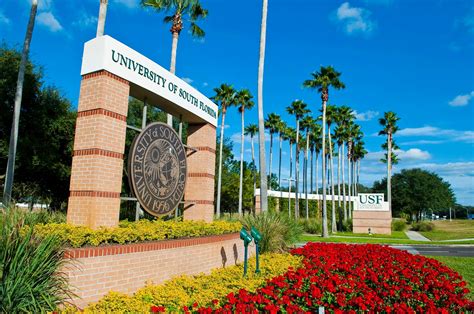 All 82 Majors At University Of South Florida Usf Collegevine