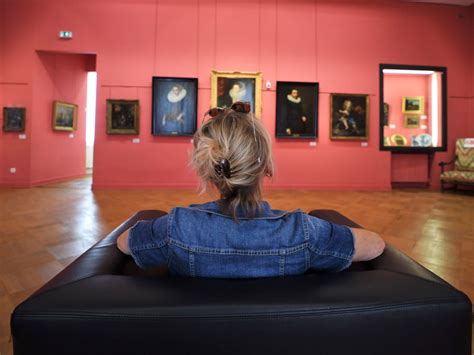 MusÉe Des Beaux Arts De Carcassonne