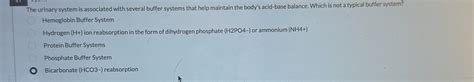 Solved The Urinary System Is Associated With Several Buffer