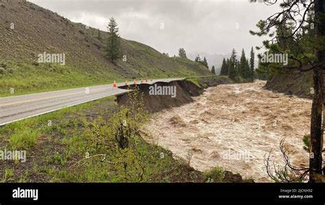 Yellowstone National Park Montana Usa 14th June 2022 In A Photo