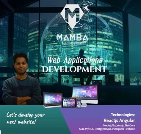 do professional website development in react and angular by