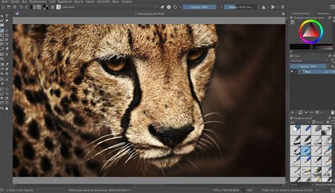 Krita для начинающих базовый гайд по работе с графическим редактором