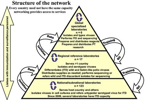 Polio Cell Structure