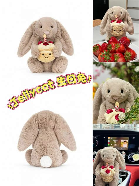 Jellycat抱蛋糕兔