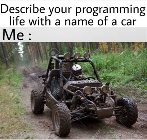 Buggy R ProgrammerHumor