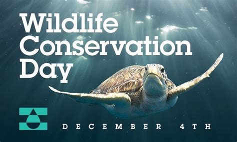 Jacob Stepp Posted On Linkedin