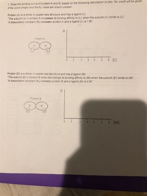 Draw The Binding Curve Of Protein A And B Based On Chegg Com