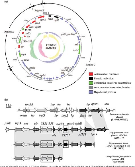 Staphylococcus Lentus Semantic Scholar