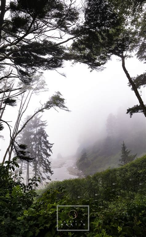 A Ruby For Mom Ruby Beach Laurie R Martin Photography