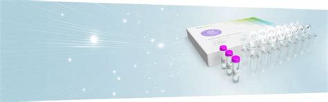 Peptide Fractionation Proteomic Analysis Preomics