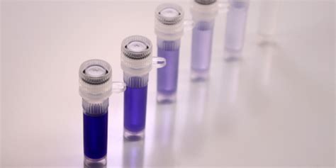 Sample And Assay Diluents Immunochemistry Technologies