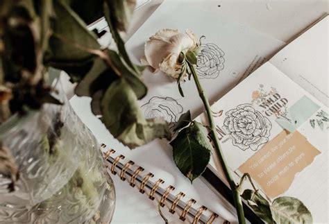 White Flower On Clear Glass Vase Image Free Photo