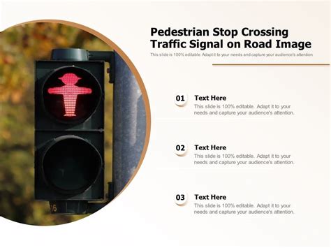Pedestrian Stop Crossing Traffic Signal On Road Image Ppt Powerpoint Presentation File