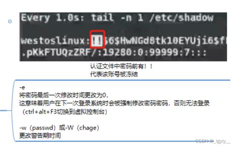 Linux基础（四）系统用户管理及优化方案linux用户和组管理有何改进之处 Csdn博客