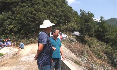 崇阳县政府 问政追访沙坪镇严明纪律 落实责任 确保安全度汛