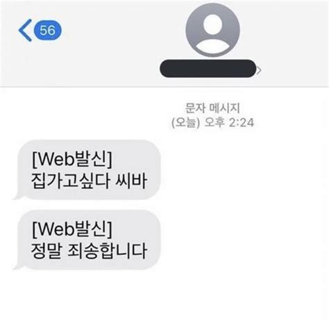 [잡담] 아 이런짤 웃김 인스티즈 Instiz 일상 카테고리