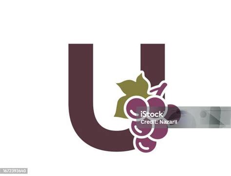 포도와 함께 편지 U 과일과 유기농 식품 알파벳 로고 기호입니다 정원 가꾸기 수확 및 포도주 양조 디자인 건강한 식생활에 대한