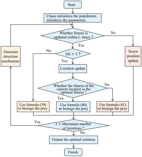 Improved Whale Optimization Algorithm Download Scientific Diagram